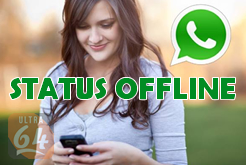 Como entrar offline no WhatsApp